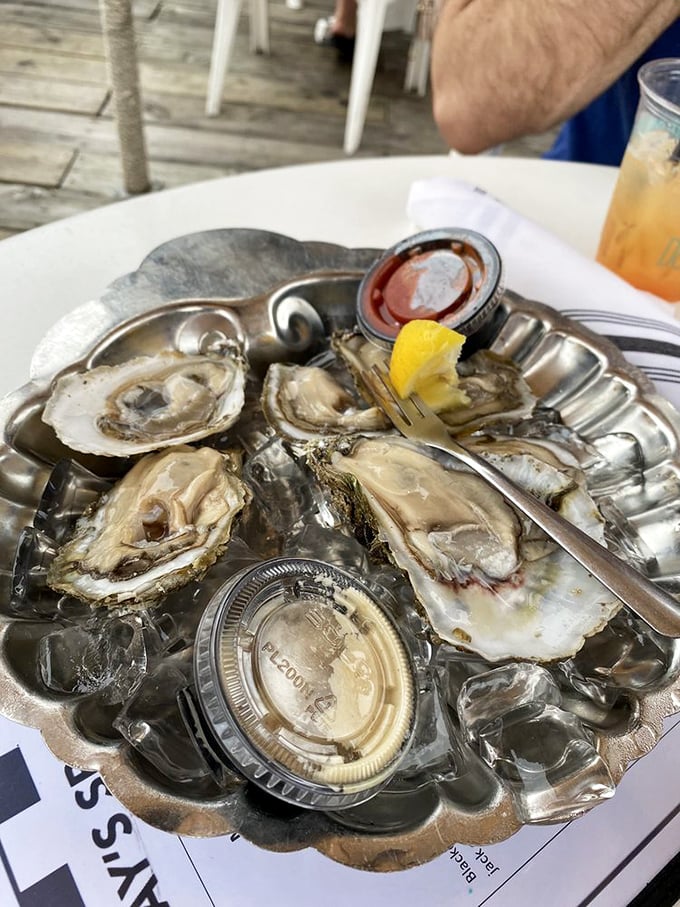 Oysters on the half shell&mdash;nature's perfect appetizer. Just a squeeze of lemon, a dash of cocktail sauce, and suddenly Monday feels like Friday.
