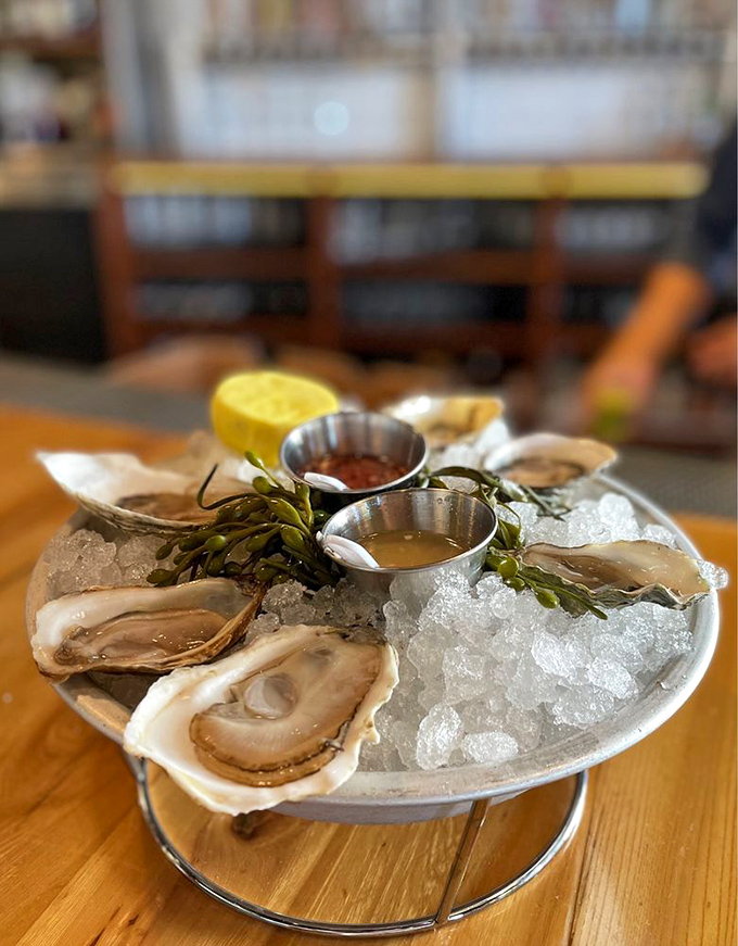 Oysters arranged like jewels on ice, waiting to deliver that perfect briny kiss of the sea to lucky diners.