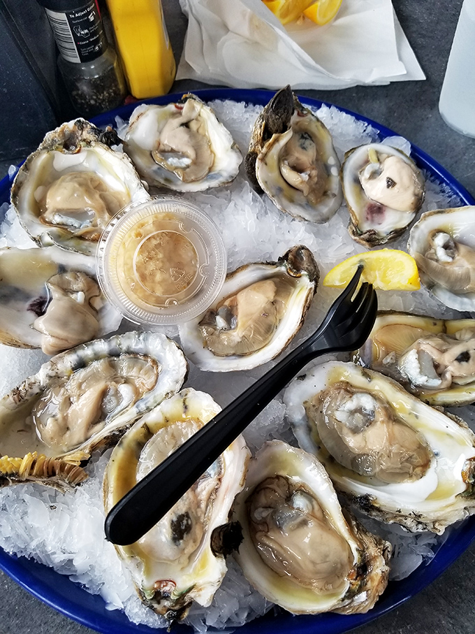 Oysters on the half shell – nature's perfect appetizer. Like little pools of ocean essence waiting for a splash of lemon and a moment of reverence.