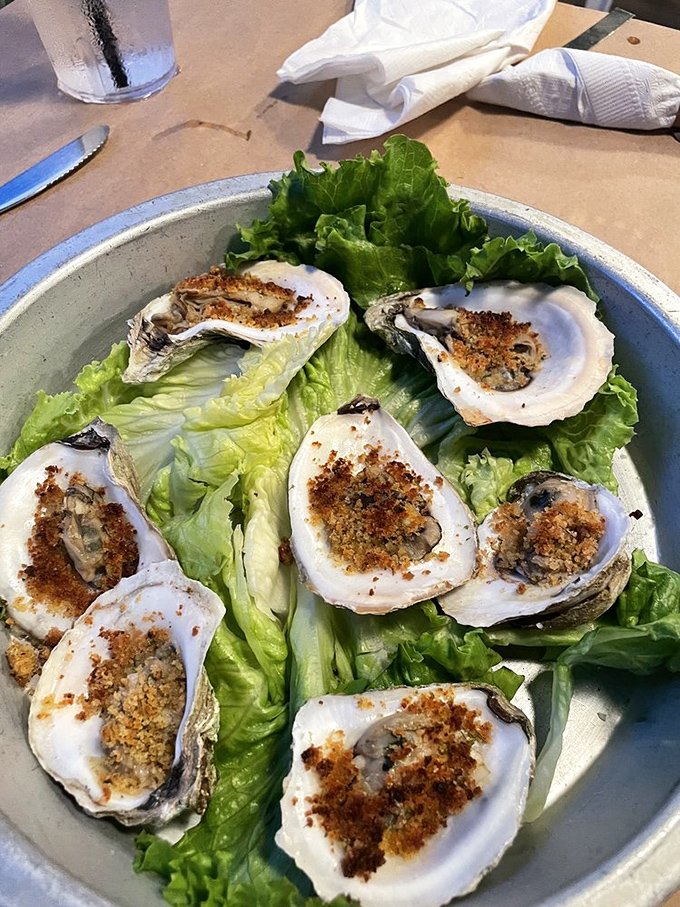 Baked oysters on the half shell, where each briny morsel gets the royal treatment with a savory breadcrumb topping.