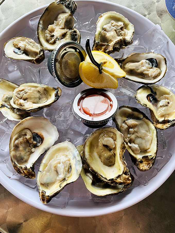 Oysters on the half shell&mdash;nature's perfect appetizer. Briny, fresh, and just waiting for that squeeze of lemon and dash of cocktail sauce.