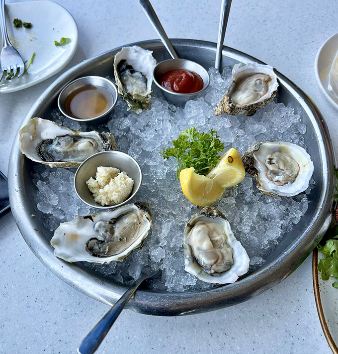 Oysters arranged like briny jewels on ice. Nature's perfect appetizer requires nothing more than a squeeze of lemon and a moment of appreciation.