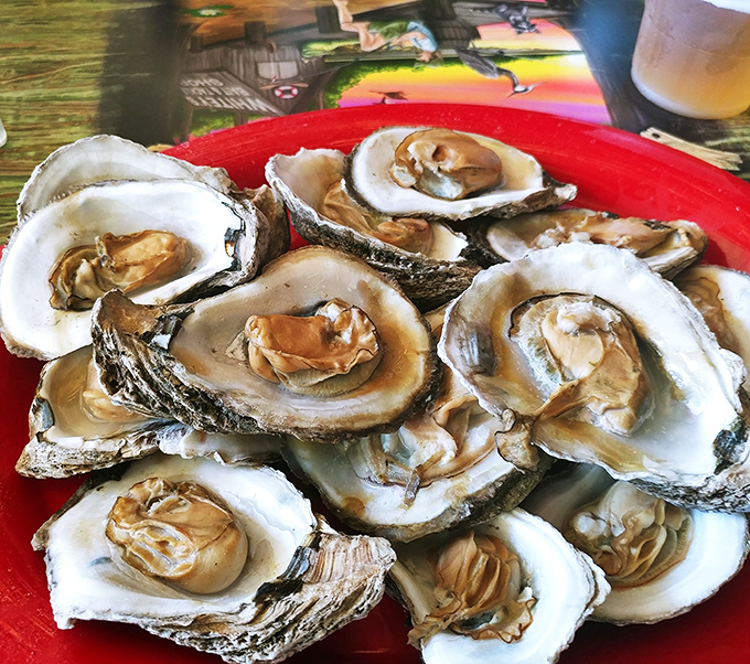 These oysters aren't just seafood; they're little cups of the Atlantic, served with a side of Florida sunshine and zero pretension.
