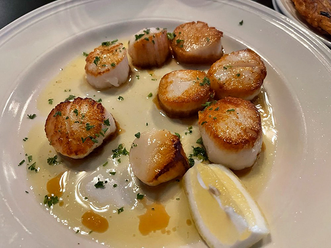 These scallops are seared with such precision they deserve their own cooking show. The butter sauce? Oscar-worthy supporting actor.