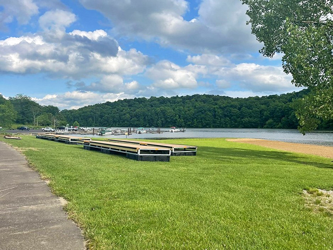 Nature's beach club awaits your arrival. The dock stands ready while the hills keep watch, like patient friends waiting for your return.