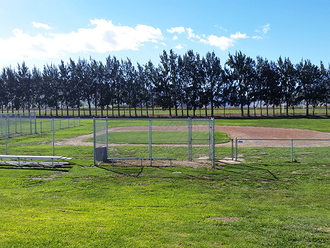 America's pastime awaits behind this chain-link fence, where dreams of the big leagues begin on small-town diamonds.