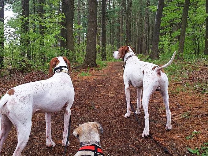 Four-legged family members are welcome to experience nature's therapy session alongside their favorite humans here.