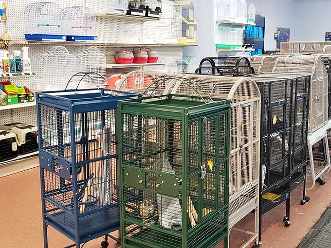 A menagerie of empty homes waiting for feathered and furry occupants. These cages aren't just pet supplies &ndash; they're future family member accommodations.