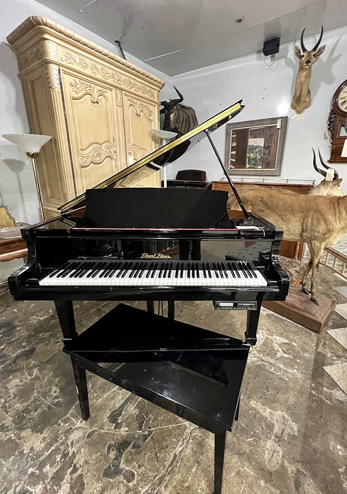 A grand piano stands majestically among taxidermy friends, waiting for the next bargain hunter with musical aspirations and a truck.