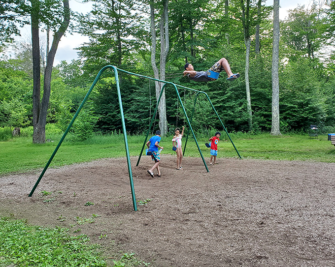 Playground physics in action: what goes up must come down, but the forest backdrop makes this ordinary swing set extraordinary.