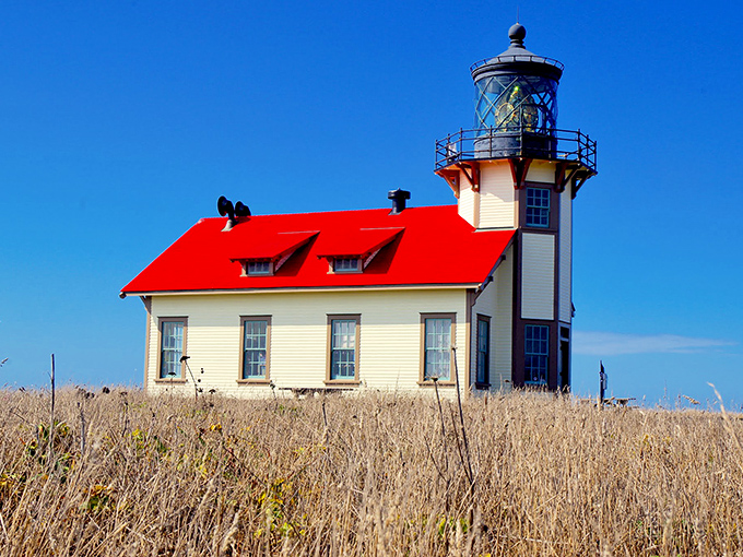 Point Cabrillo's lighthouse with its jaunty red roof has been keeping sailors safe since 1909, though its postcard views might distract modern navigators.