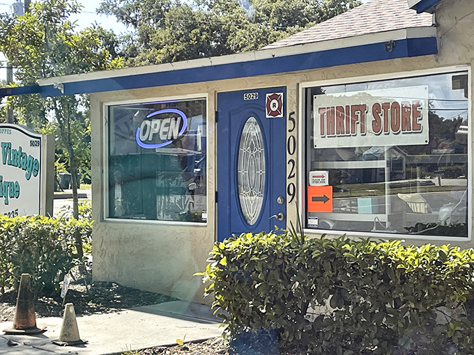 Every Florida town has that one quirky thrift shop where yesterday's castoffs become tomorrow's conversation pieces.