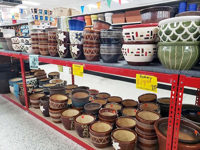 Pottery paradise! These aren't just planters; they're the starting point for your next Florida garden transformation at prices that won't wilt your wallet.