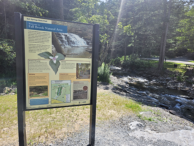 The trail map that promises adventure. Like a treasure map without the pirates, this guide reveals where the park's natural gems are hiding.