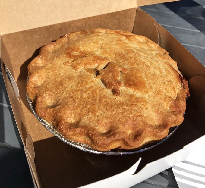 A proper British pie, complete with steam vent, waiting to reveal its savory secrets like a delicious plot twist.