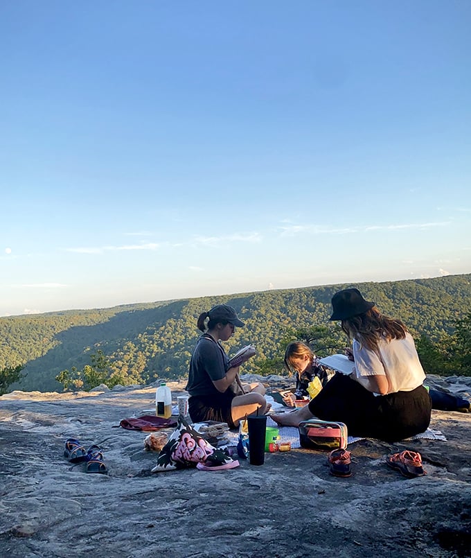 Picnic with a view that makes fast food drive-thrus weep with inadequacy. Some meals aren't about the food, but the feast for your eyes.