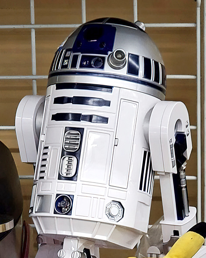 "These aren't the bargains you're looking for..." This R2-D2 figure stands sentinel in the collectibles section, beeping silently about its journey from galaxy far away to Dublin.