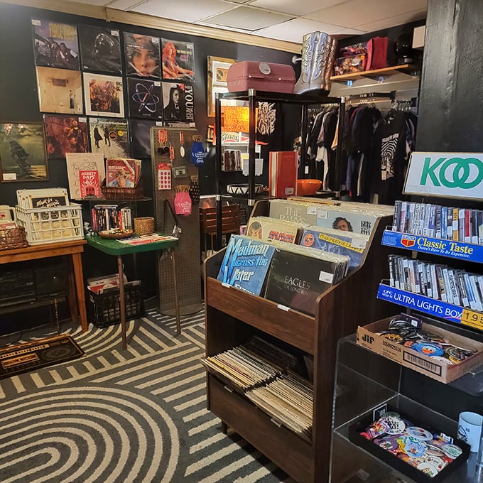 Vinyl nirvana where album covers serve as historical documents of questionable hairstyle choices and musical genius alike.