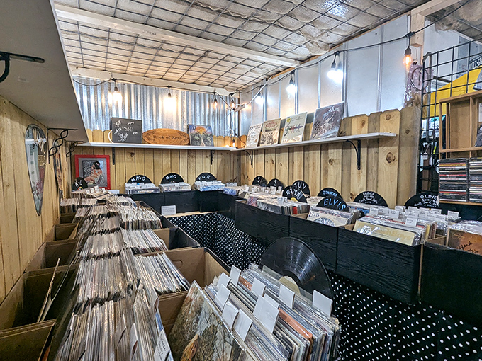 Vinyl heaven for music lovers who know albums aren't just songs but tactile time machines. That wooden wall creates the perfect acoustic backdrop for nostalgia.