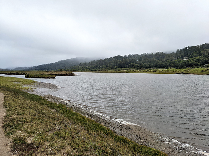Tomales Bay's tranquil waters reflect the misty hills beyond, a moment of Zen in a world that moves too fast for its own good.