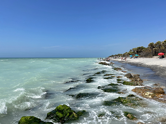 Nature's own sculpture garden emerges where waves meet shore, creating a dramatic landscape that changes with each passing tide.