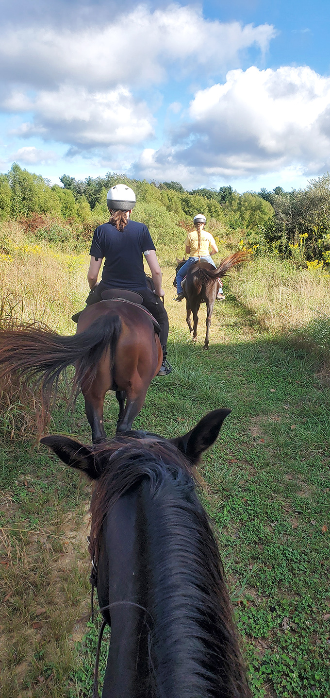 Horseback riding through Makanda's countryside offers perspectives you'll never get from behind a windshield &ndash; and better company too.