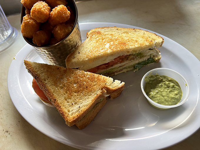A golden-brown sandwich that whispers, "Cancel your afternoon plans," served with tater tots that crunch loud enough to turn heads.