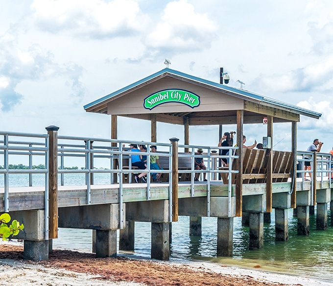 The fishing spot where "the one that got away" stories are born daily. Worth visiting even if your idea of fishing is scrolling through seafood menus.