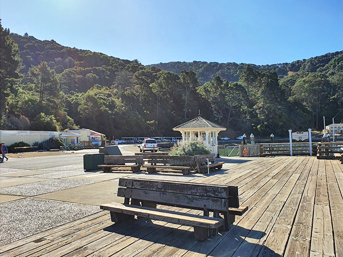 Wooden benches perched at the island's edge invite contemplation, conversation, and the occasional impromptu picnic worth bragging about.
