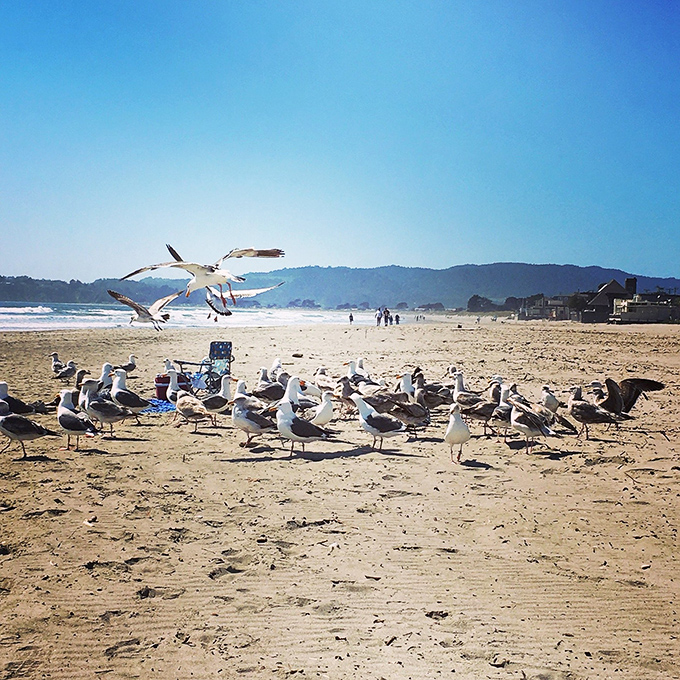 Stinson's unofficial welcoming committee holds an emergency meeting. Someone brought chips, and negotiations have stalled.