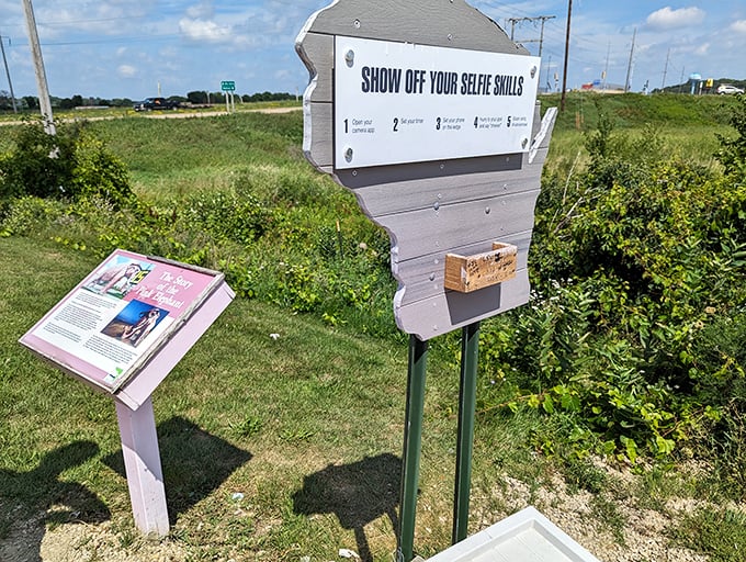 "Show off your selfie skills" &ndash; because in the age of Instagram, this pink giant practically demands documentation of your visit.