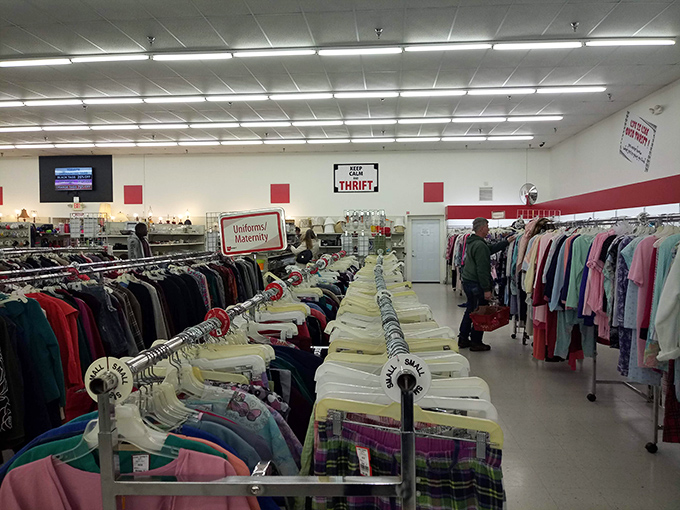 Serious thrifters know the uniform: comfortable shoes, focused expression, and the ability to spot quality from twenty paces.