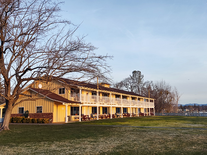 Skylark Shores Resort captures that nostalgic California vacation vibe&mdash;when "amenities" meant a clean room, a nice view, and no reason to check your email.