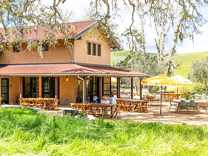 Rustic charm meets vineyard sophistication at this countryside eatery, where every table feels like the best seat in the house.