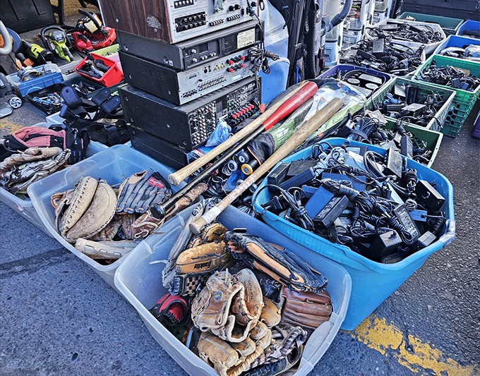 A time capsule of America's sporting past, where forgotten baseball gloves await their second chance at backyard glory.
