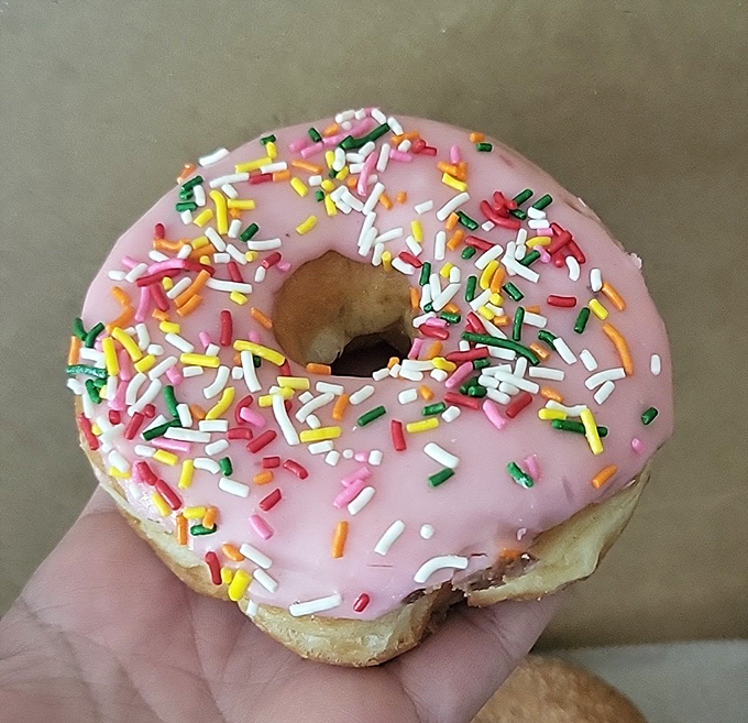 Rainbow sprinkles transform ordinary donuts into edible confetti celebrating life's sweetest moments perfectly.