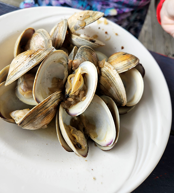 These steamed clams have opened up to tell their delicious stories. Simple preparation lets the briny sweetness of the Chesapeake shine through.