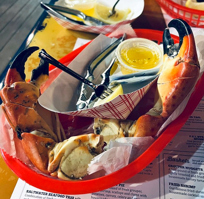 Nature's perfect design: stone crab claws with drawn butter. Simple, elegant, and requiring absolutely no improvement from human hands.