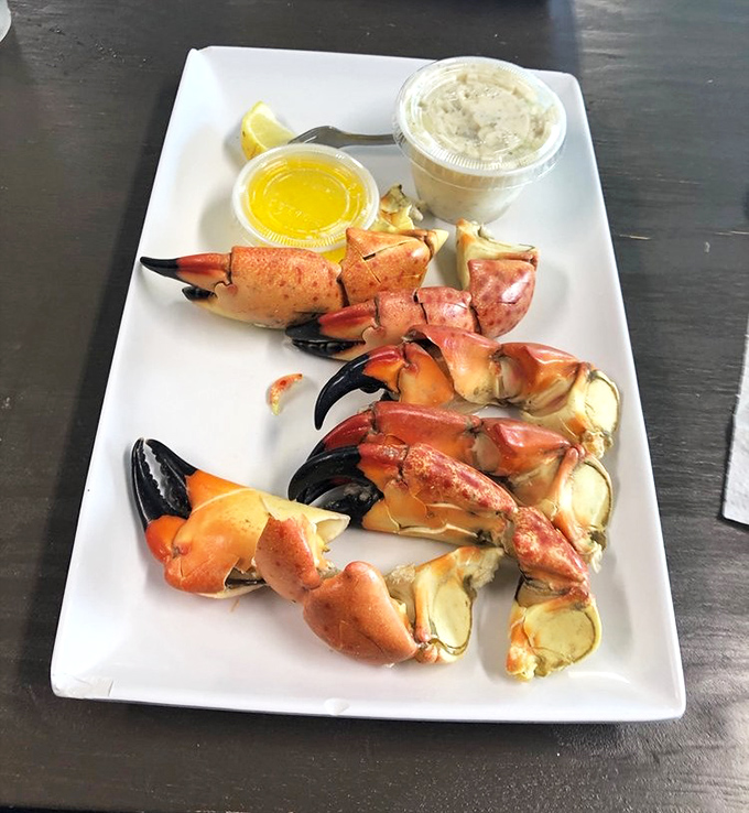 Stone crab claws&mdash;nature's perfect appetizer. Sweet, delicate meat that requires just enough effort to make each bite feel like a well-earned victory.