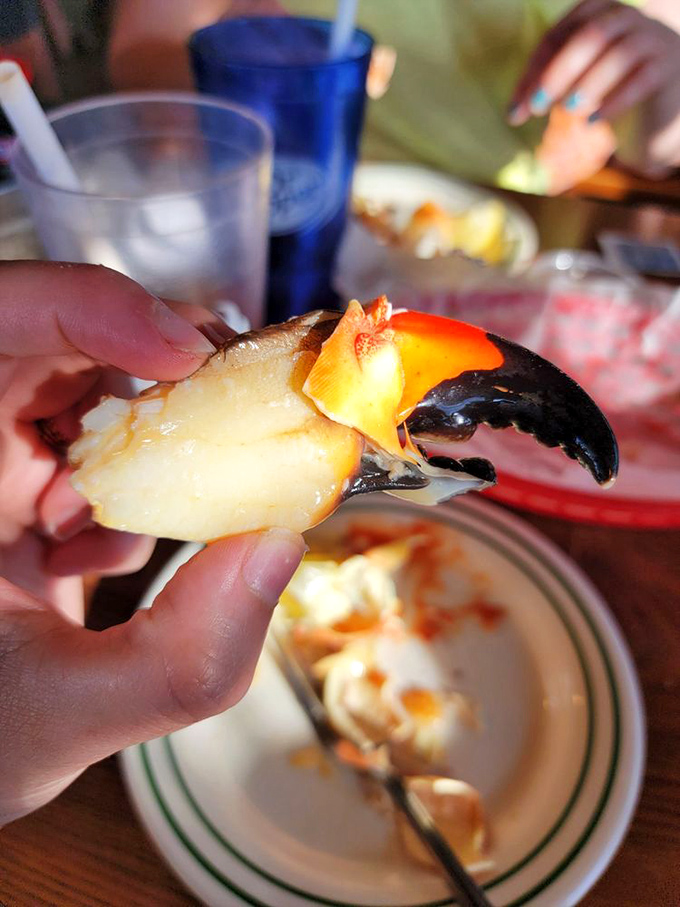 Stone crab claw perfection&mdash;nature's own seafood lollipop that makes you work just enough to appreciate the sweet reward inside.