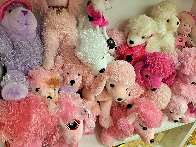The island of misfit stuffed animals, where pink poodles and purple bunnies wait for their second chance at being someone's beloved bedtime companion. 