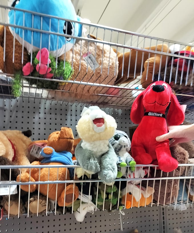 Clifford the Big Red Dog leads a merry band of plush companions, all patiently waiting for their next cuddle adventure.