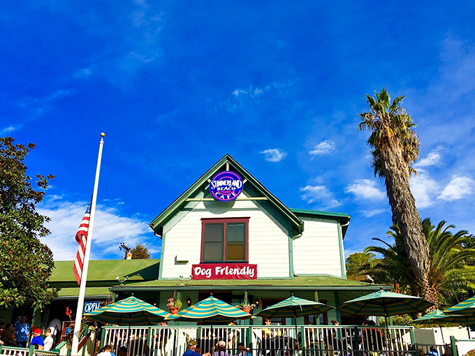 Dog-friendly and deliciously unpretentious, Summerland Beach Caf&eacute; serves up comfort food with ocean views that would cost triple in Malibu.