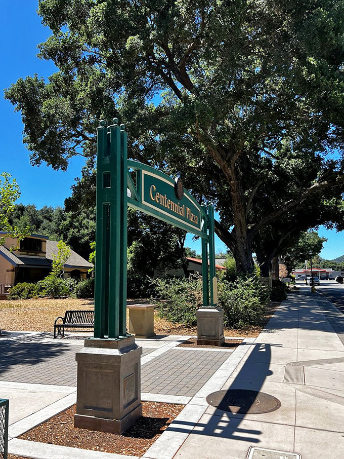 Centennial Plaza welcomes visitors with its stately archway, where towering oaks provide shade for afternoon strolls and morning coffee meetups.