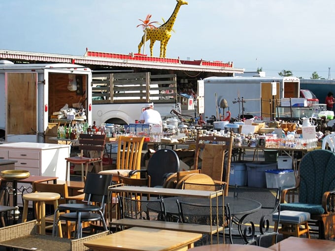 One person's dining set is another's treasure&mdash;this furniture graveyard is where tables and chairs await their resurrection story.