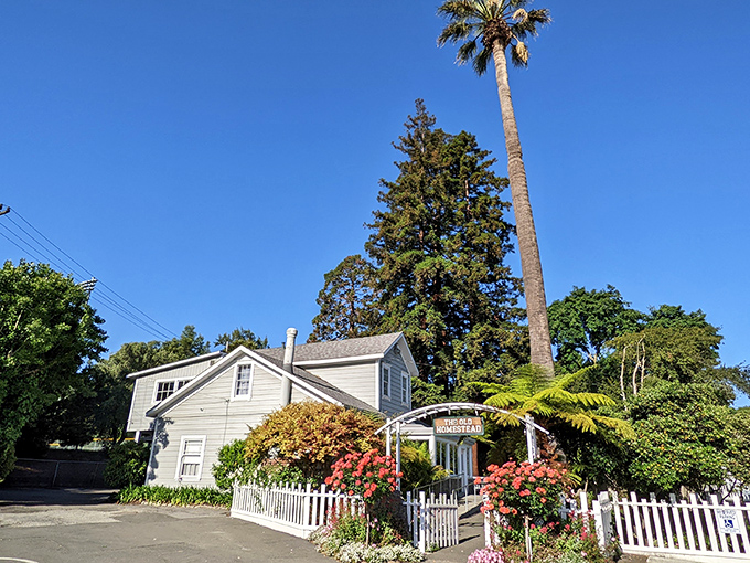 This charming cottage surrounded by flowering plants looks like it belongs on a postcard captioned "Wish your stress levels were as low as mine."
