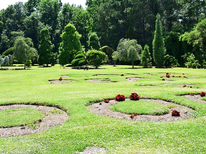 Nature's calligraphy&mdash;flowing curves and perfect circles etched into the landscape create patterns that change with every angle and shadow.