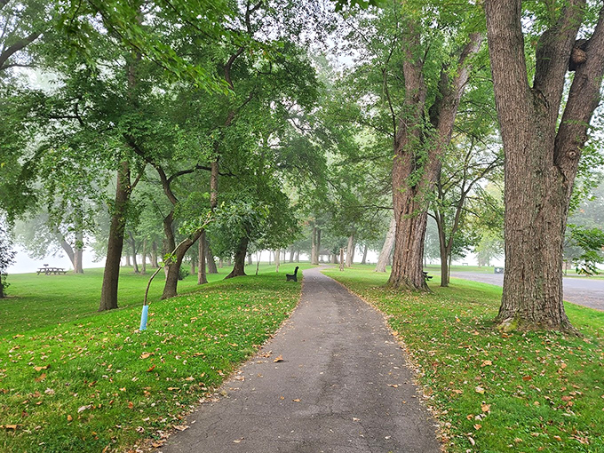 Misty mornings transform ordinary paths into something from a fantasy novel. The trees stand like ancient guardians protecting secrets of the Susquehanna.