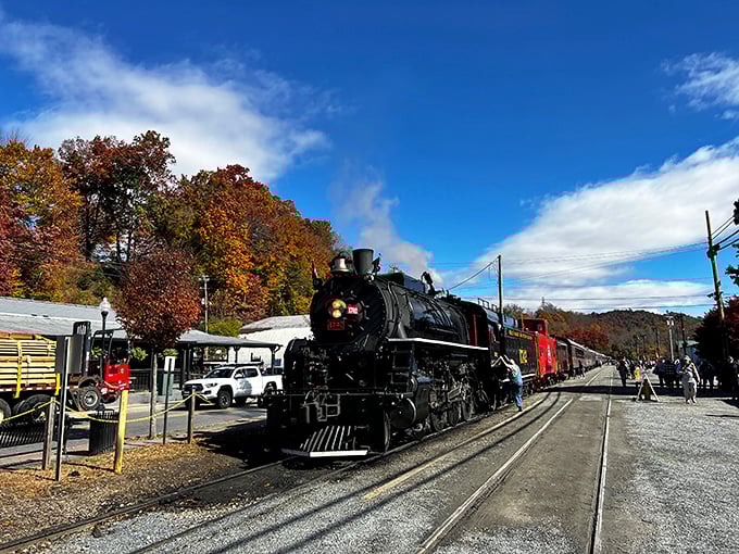 The classic steam locomotive puffs importantly into the station, looking like it just rolled off the set of a period film.