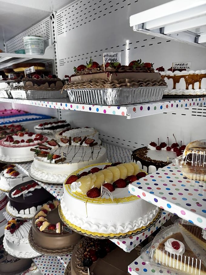 These mini cakes aren't just desserts&mdash;they're tiny masterpieces where chocolate, cream, and artistry collide in a symphony of sweetness that speaks a universal language.